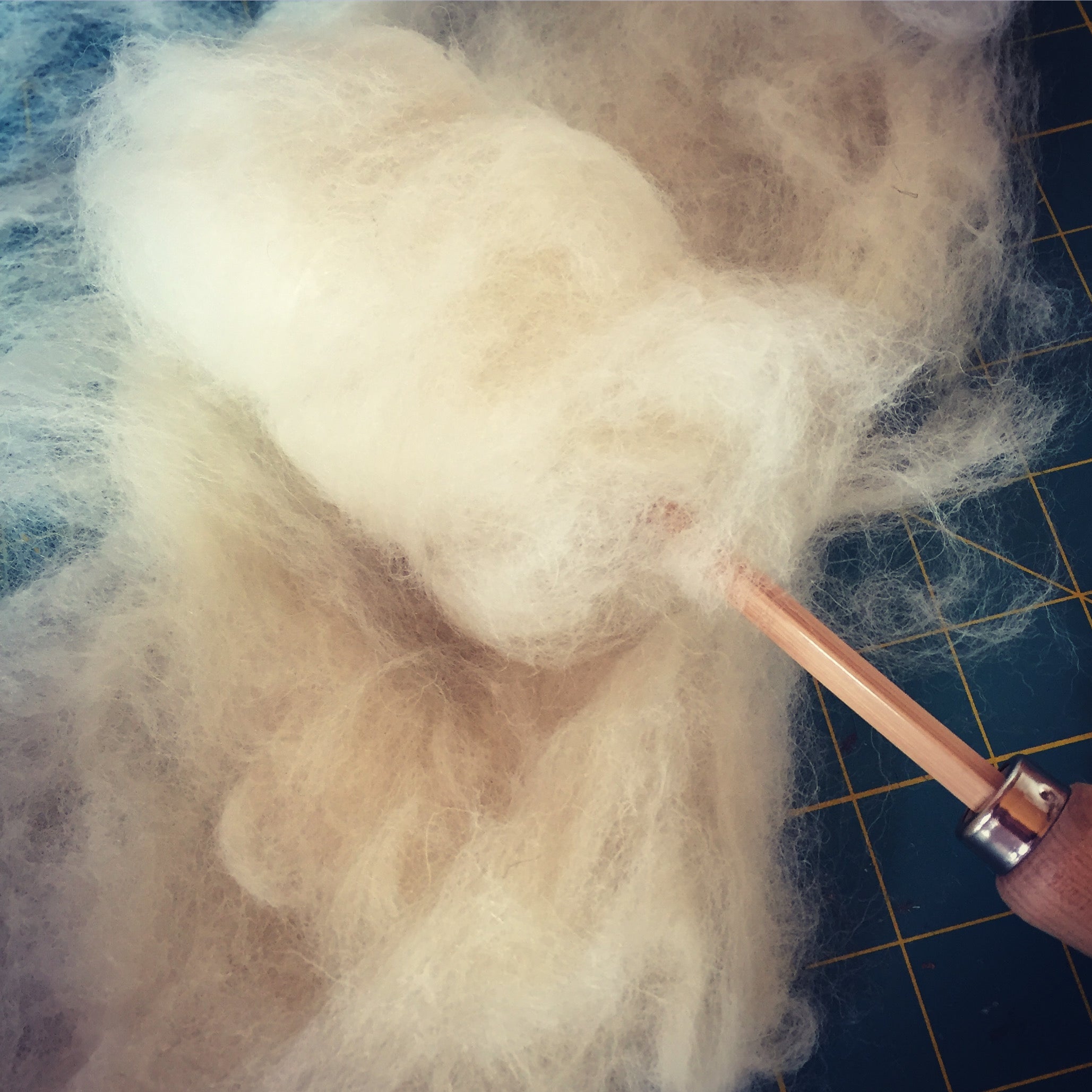 The wonder of wool – Polly had a Dolly