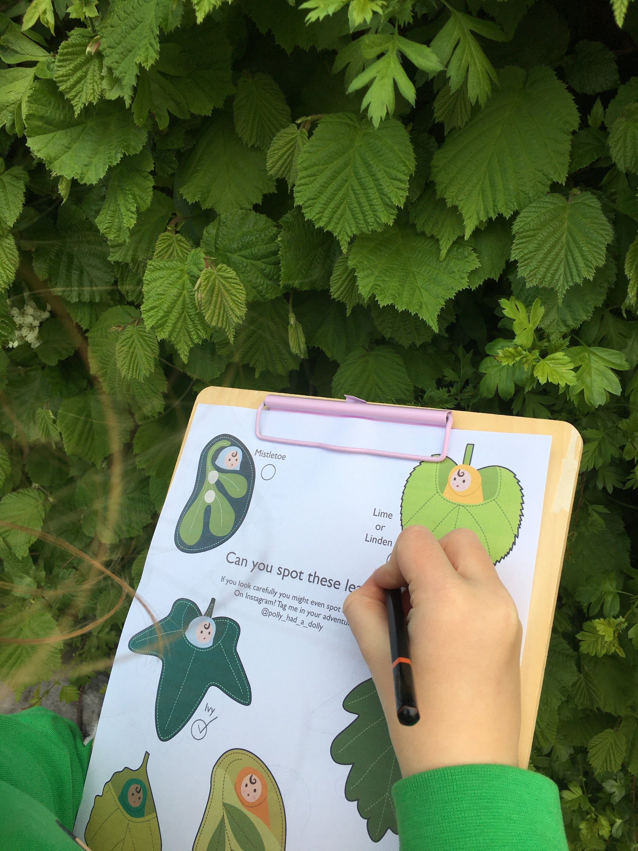 Engaging in doll play : a leaf hunt – Polly had a Dolly