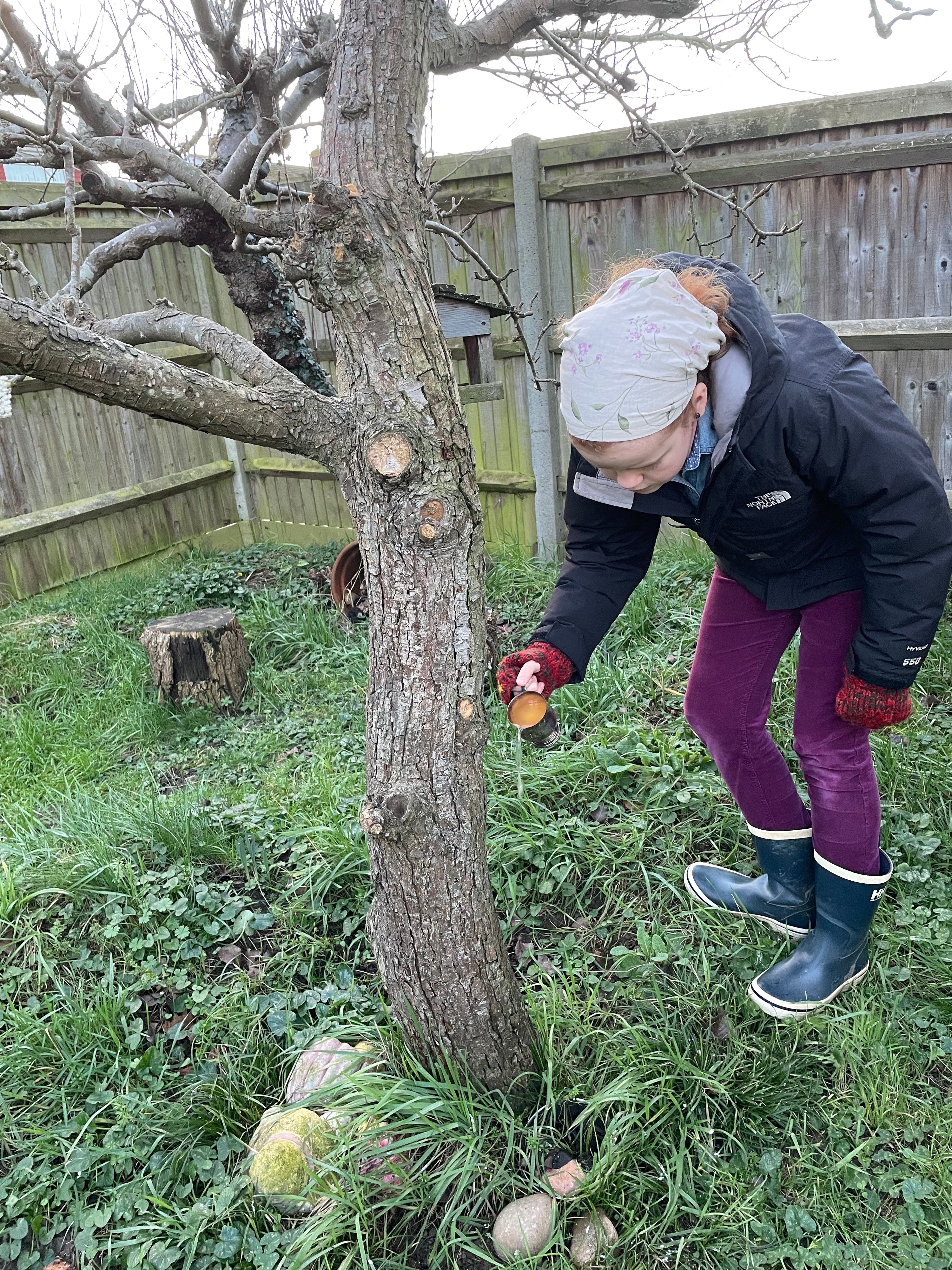 Marking the seasons : will you come a wassailing with me? – Polly had a ...