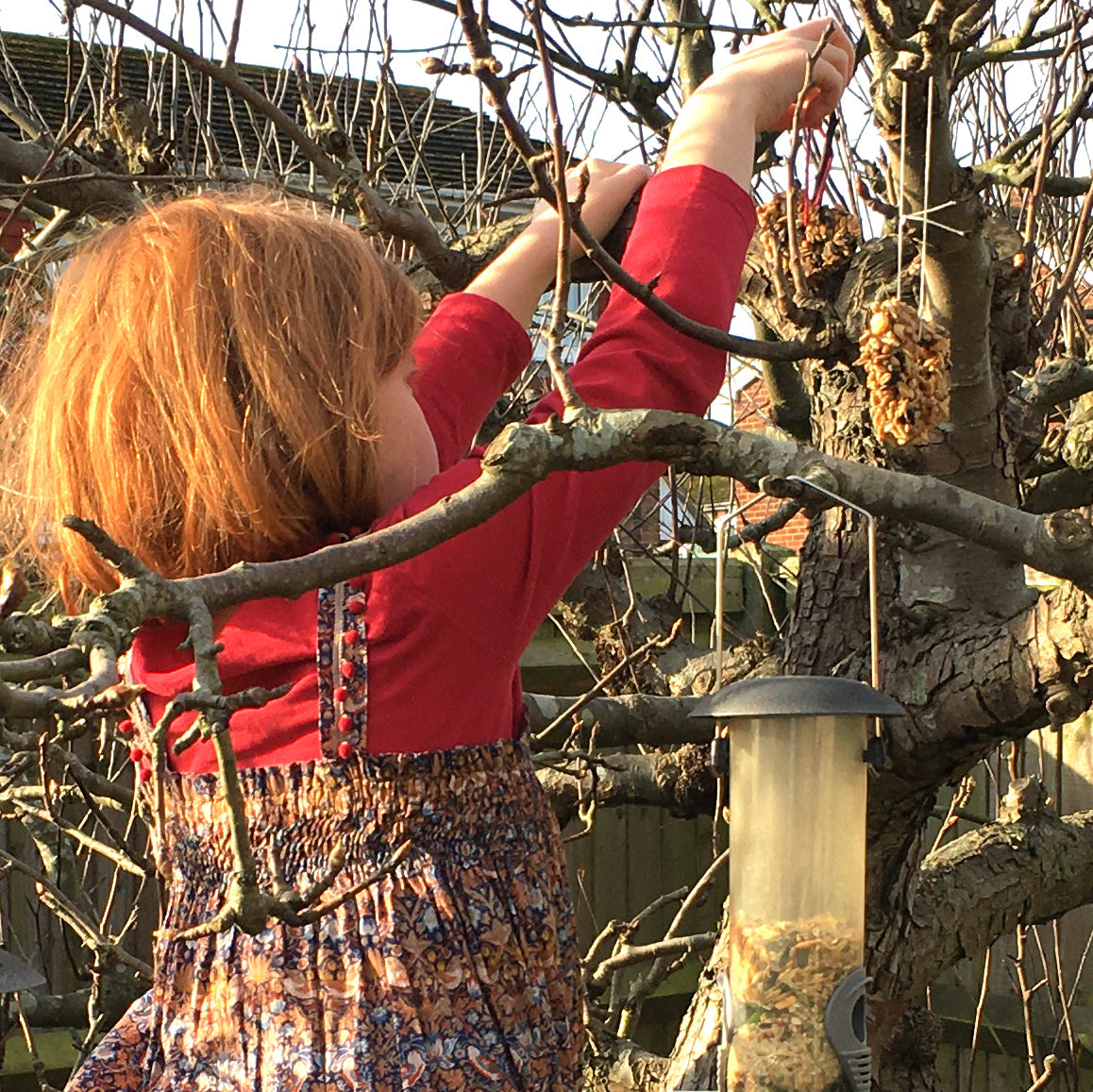 How to : Valentine's bird biscuits – Polly had a Dolly