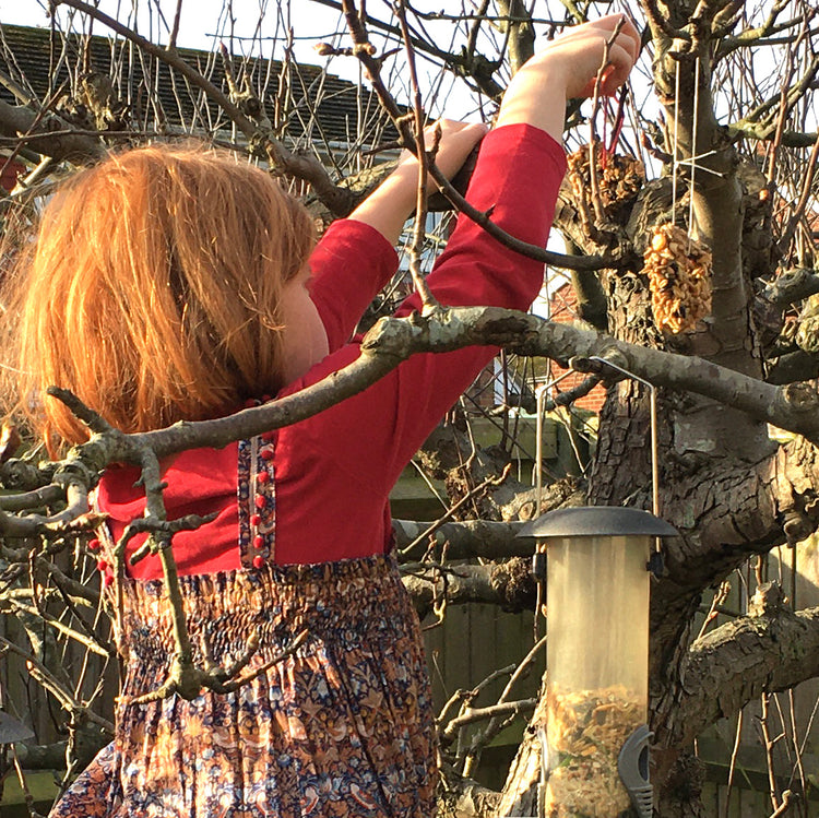 How to : Valentine's bird biscuits – Polly had a Dolly